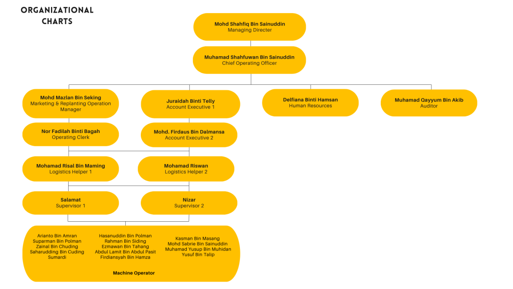 Organizational Chart - OP Brothers